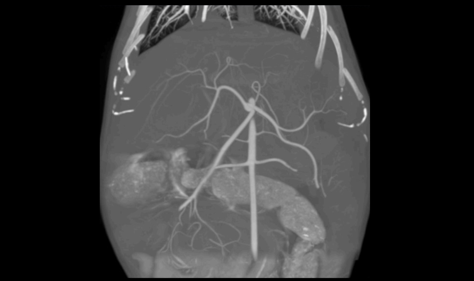 About Us – Imaginalis