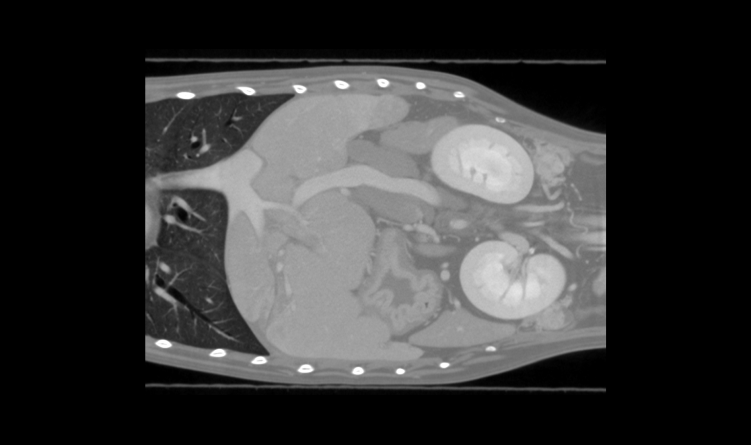 About Us – Imaginalis