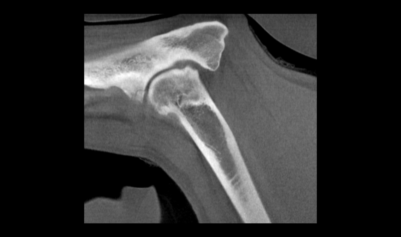 About Us – Imaginalis