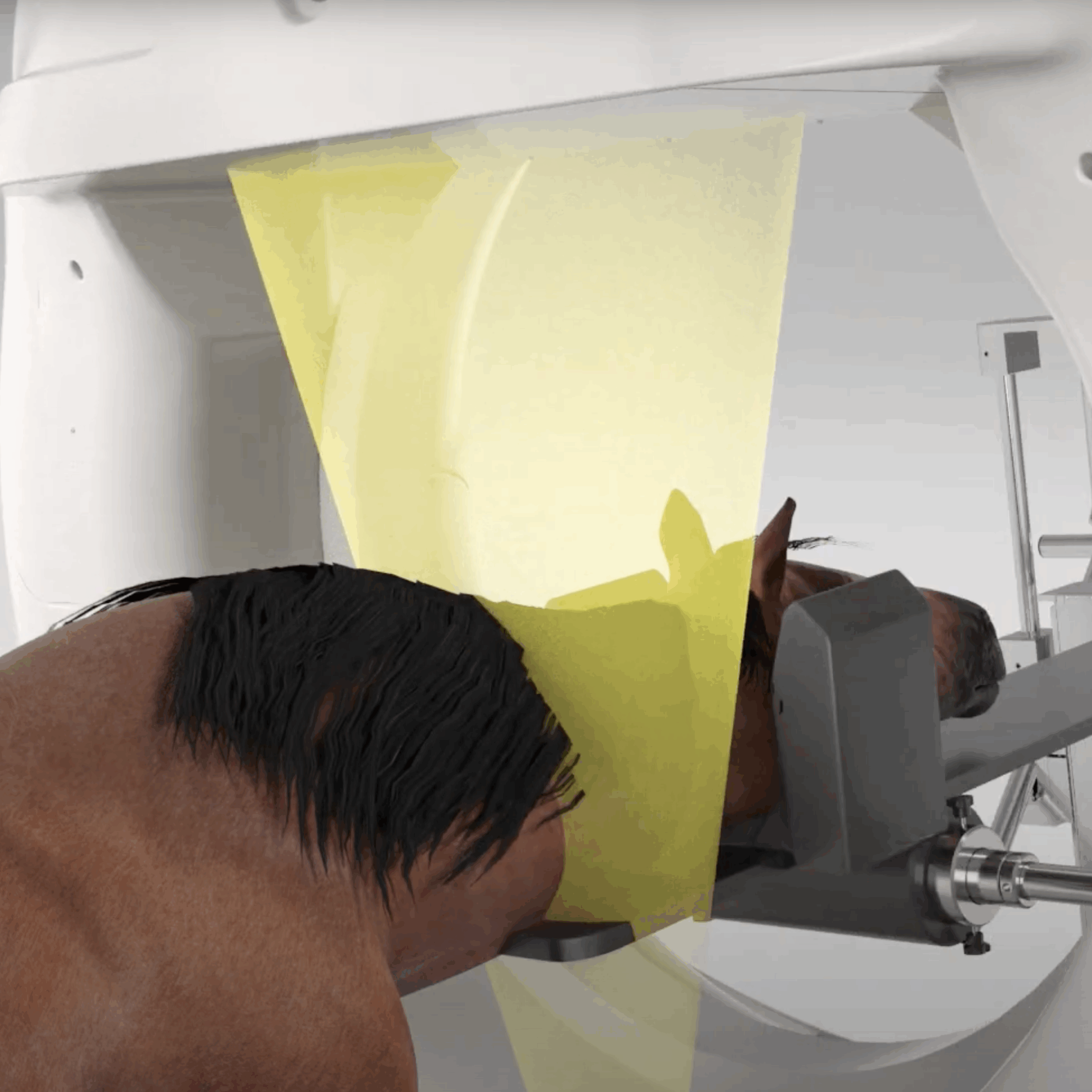 Pegaso Evolution Overview – Imaginalis